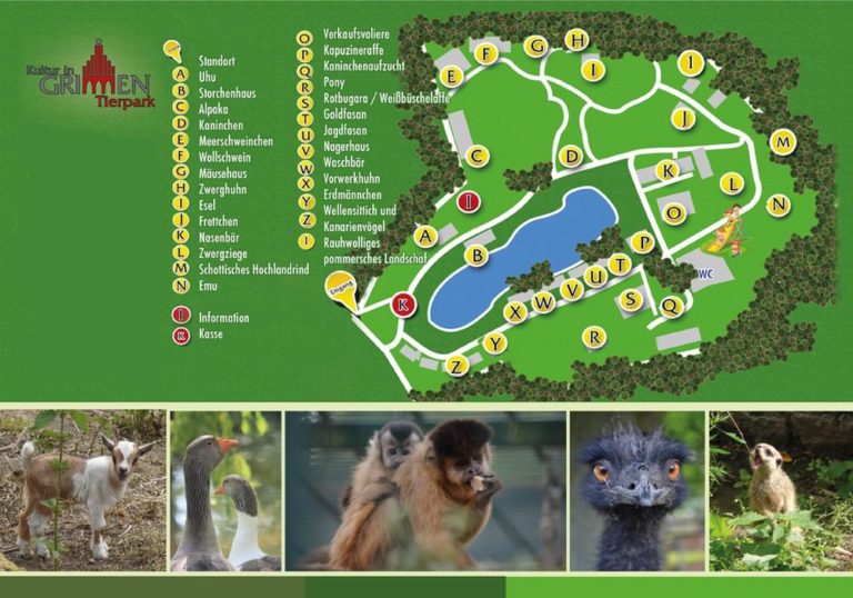 Tierpark mit Streichelzoo und Wildgehege | Stadt Grimmen